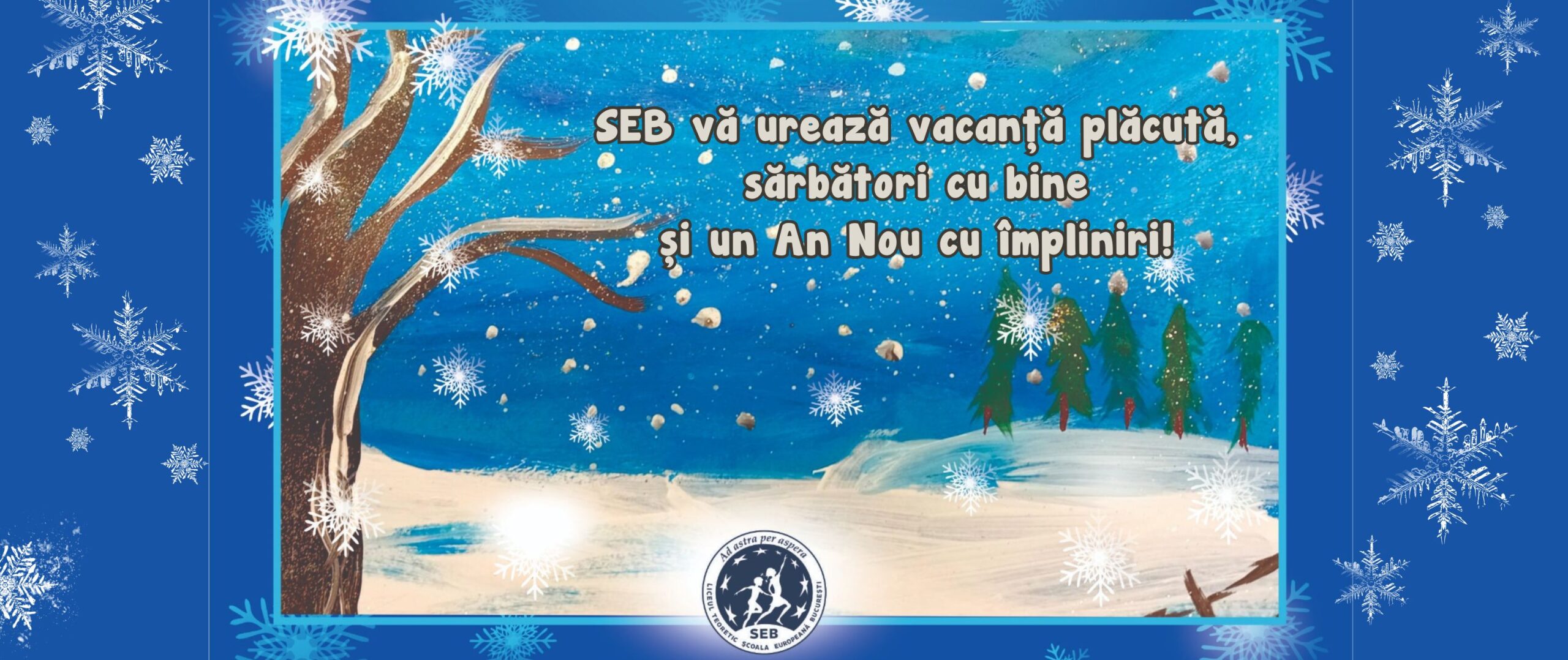 Scoala Europeana Bucuresti - SEB - Scoala particulara si liceu ...